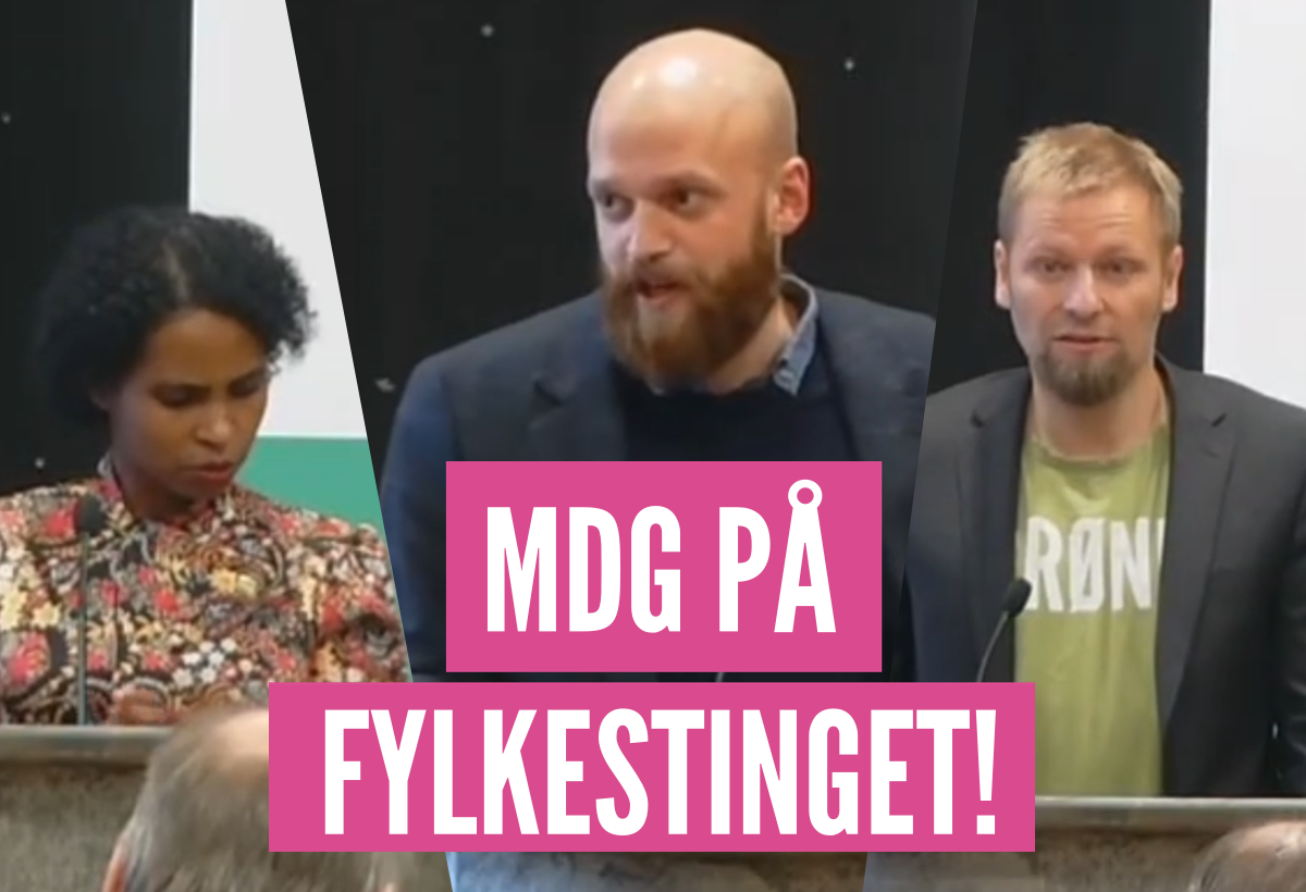 Politikere – Innlandet MDG